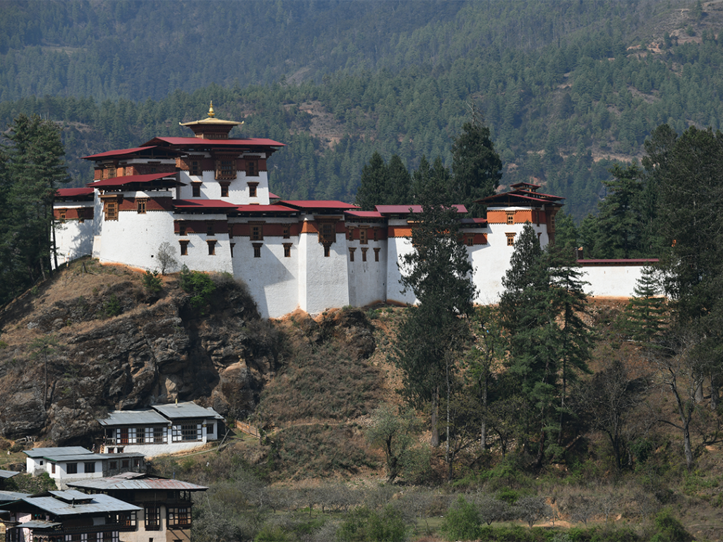 Experiences – Rustic Roots Resort